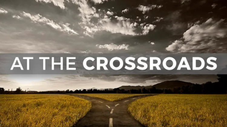 WARNINGS OUR SOCIETY’S AT A DANGEROUS CROSSROADS - BRADDON BEAGLE